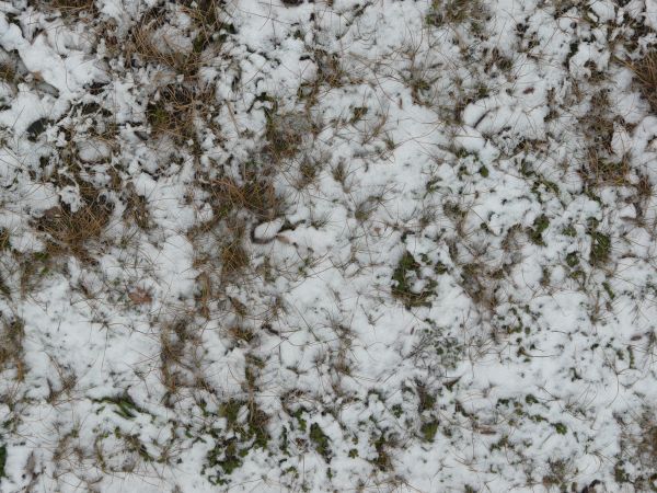 frozen ground texture 0032 - Texturelib